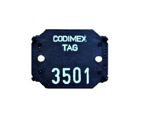 Big Format - Codimex