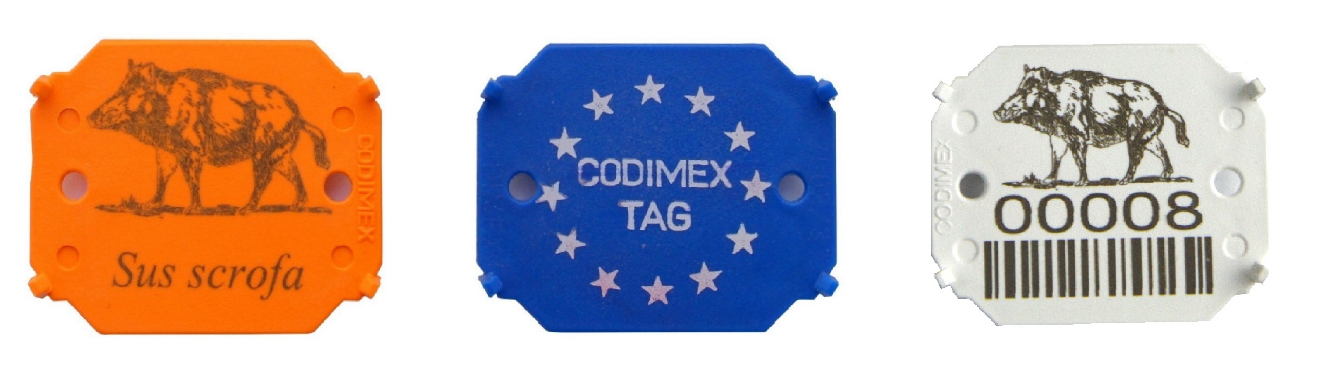 wizerunkowe3 - Codimex